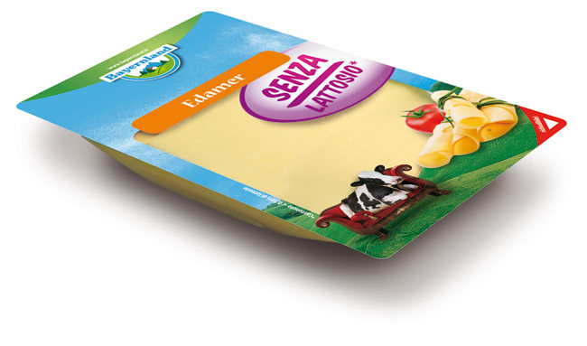 BAYERNLAND EDAMER FETTE SENZA LATTOSIO GR 100 | PrimoPrezzoExpress ...